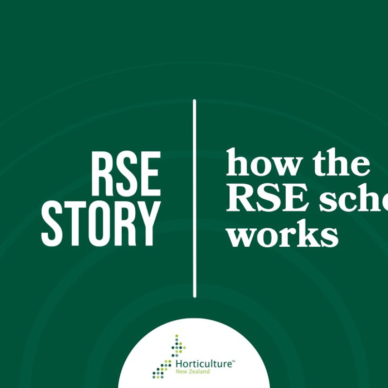 About the RSE scheme | Horticulture New Zealand — Ahumāra Kai Aotearoa