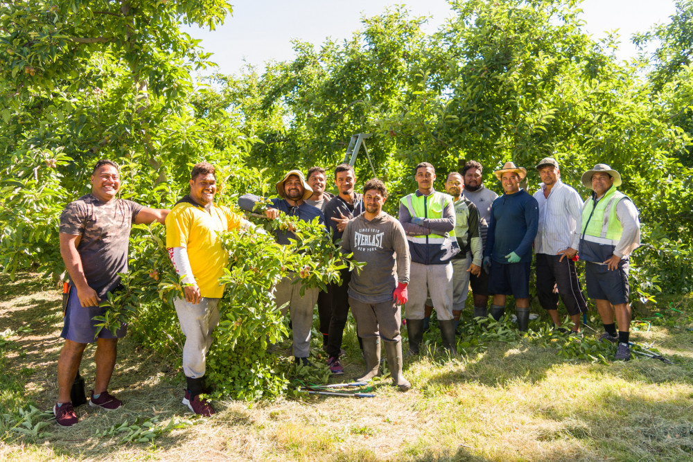RSE scheme | Horticulture New Zealand — Ahumāra Kai Aotearoa