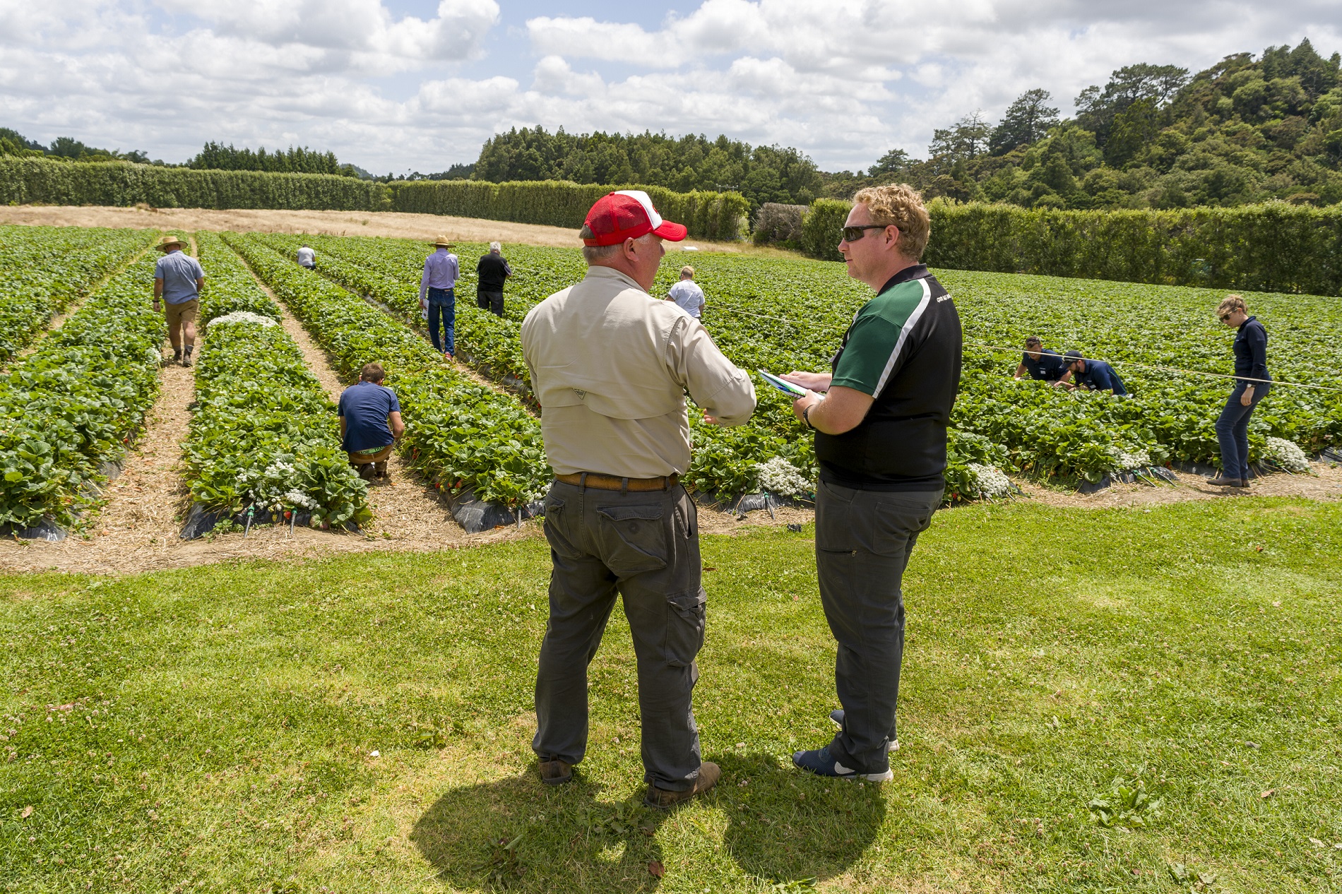 News & events | Horticulture New Zealand — Ahumāra Kai Aotearoa
